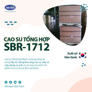 SBR-1502 - Michem Việt Nam